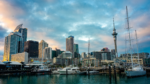Exploring the Best of Auckland: A Memorable Day Out