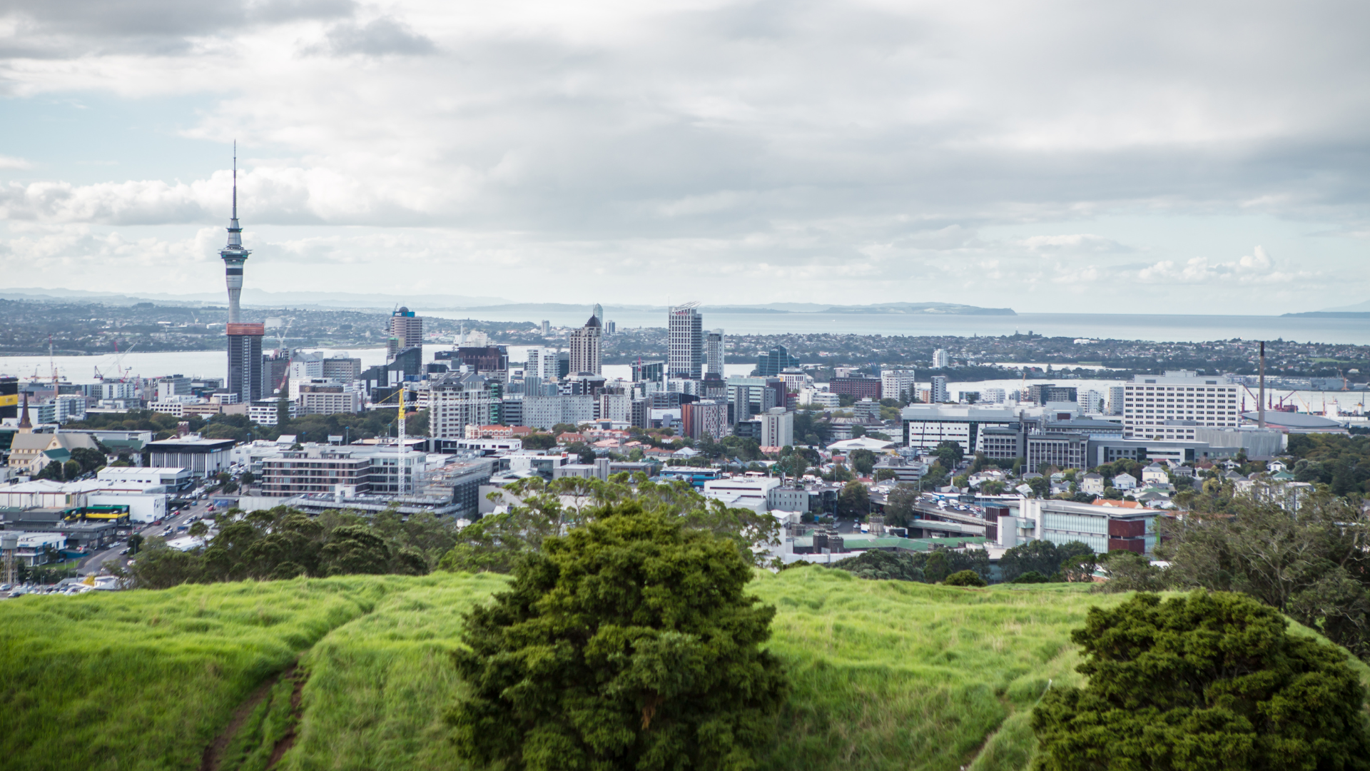 Exploring the Best of Auckland: A Memorable Day Out